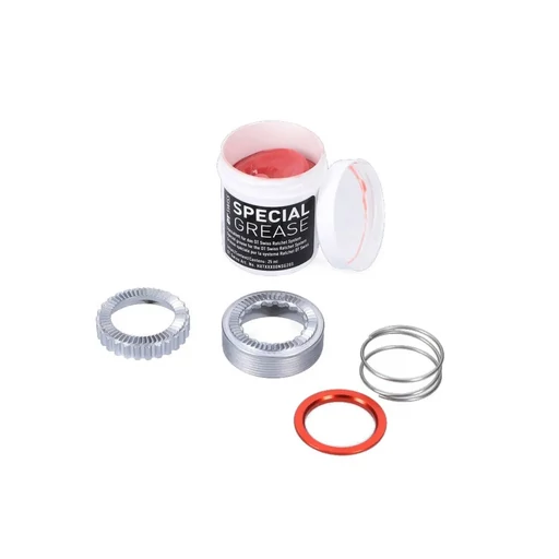 Agyhoz DT Swiss Ratchet EXP upgrade kit 54 fogas